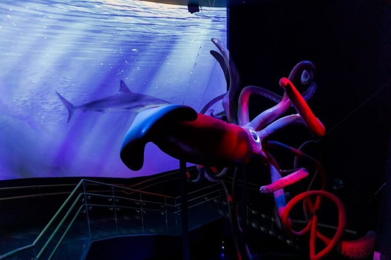 Madrid: Atlantis Aquarium Entry Ticket - Practical Details and Tips