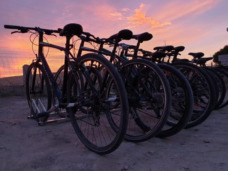 Madrid: bike rental - Key Points
