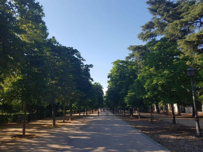 Madrid Bike Tour with Churros plus Ham & Wine Tasting Option - Starting Point and Setup
