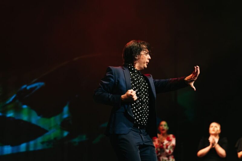 Madrid: "Emociones" Live Flamenco Performance - A Detailed Look at the Flamenco Experience in Madrid