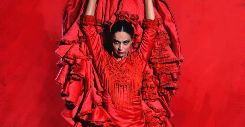 Madrid: "Emociones" Live Flamenco Performance - Final Thoughts