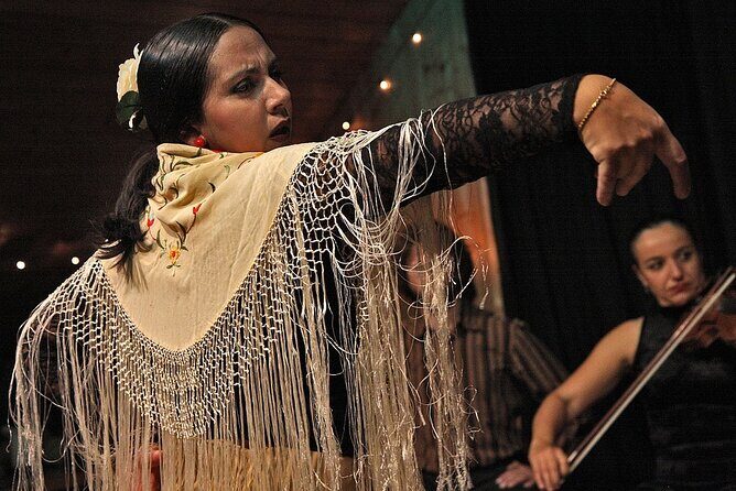 Madrid Evening Walking Tour and optional Flamenco Show - Who Should Consider This Tour?