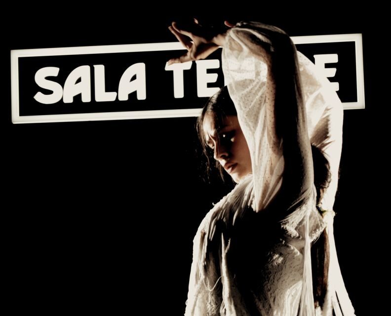 Madrid: Flamenco Show at Tablao Sala Temple with Drink - What Past Visitors Say: Authenticity and Passion
