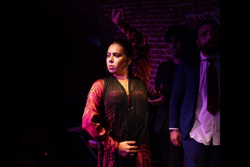 Madrid: Flamenco Show Entry Ticket with Drink & Artist Talk - Final Thoughts