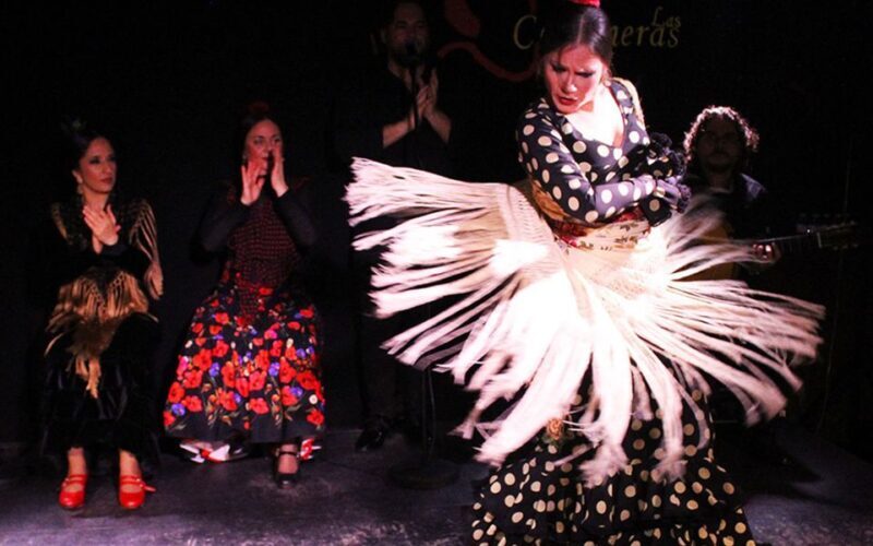 Madrid: Flamenco Show with Tapas and Wine Tour - Why This Tour Offers Great Value
