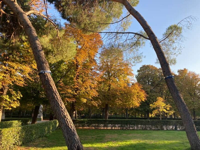 Madrid: Flow Yoga class in Retiro Park - FAQ