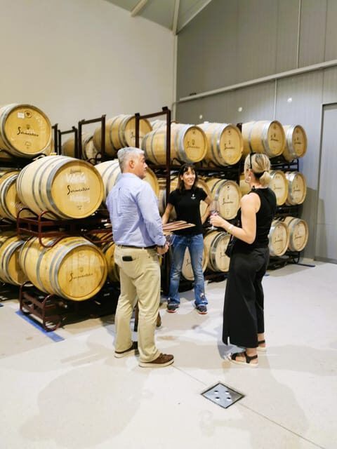 Madrid: half day wine region tour - Who Will Get the Most Out of This Tour?