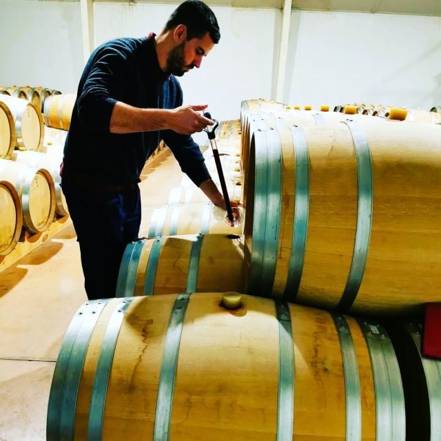 Madrid: half day wine region tour - Final Thoughts on Value and Experience