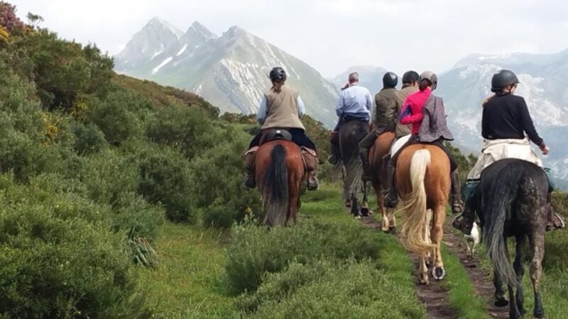 Madrid: Horse Riding in Sierra del Guadarrama National Park - Discovering the Sierra del Guadarrama on Horseback