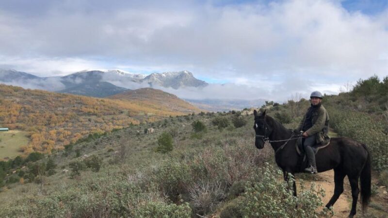 Madrid: Horse Riding in Sierra del Guadarrama National Park - The Value Proposition