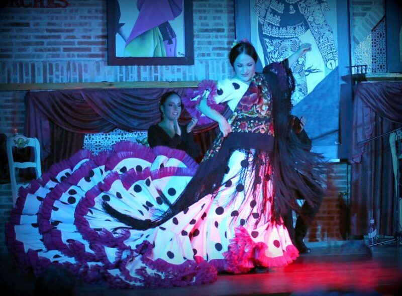 Madrid: Los Porches Flamenco Show with Tapas and Wine Ticket - The Flamenco Performance