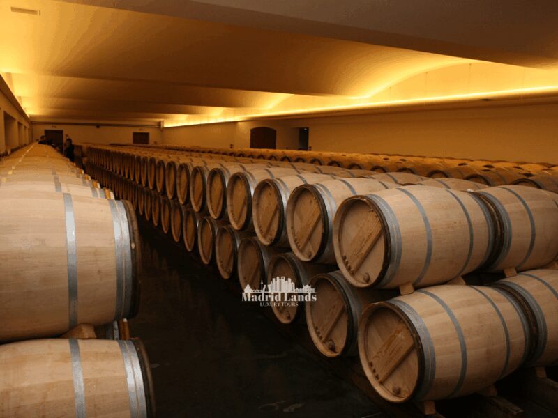 Madrid: Luxury Winery Emilio Moro Tour - Madrid: Luxury Winery Emilio Moro Tour