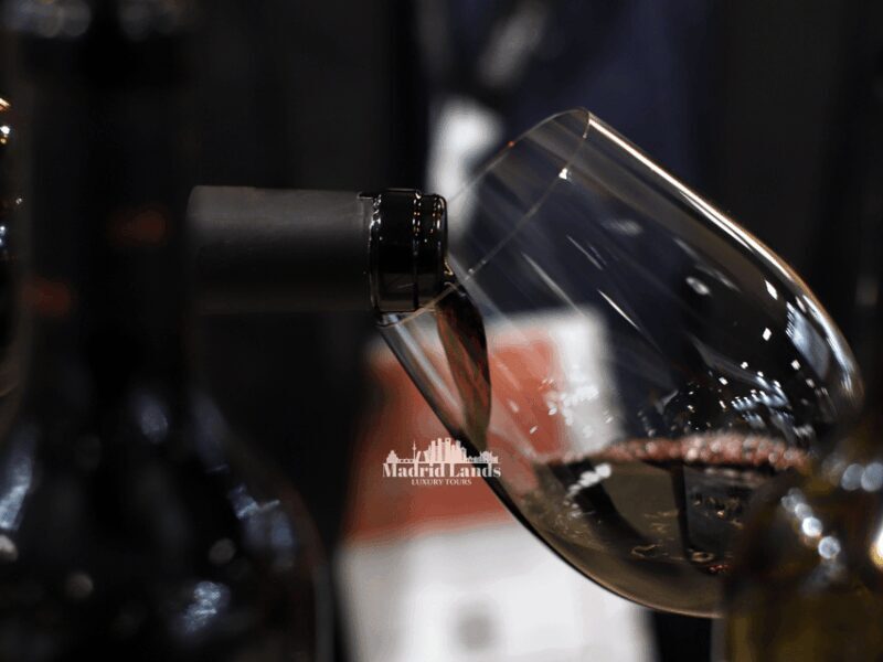 Madrid: Luxury Winery Emilio Moro Tour - Overview of the Emilio Moro Luxury Tour