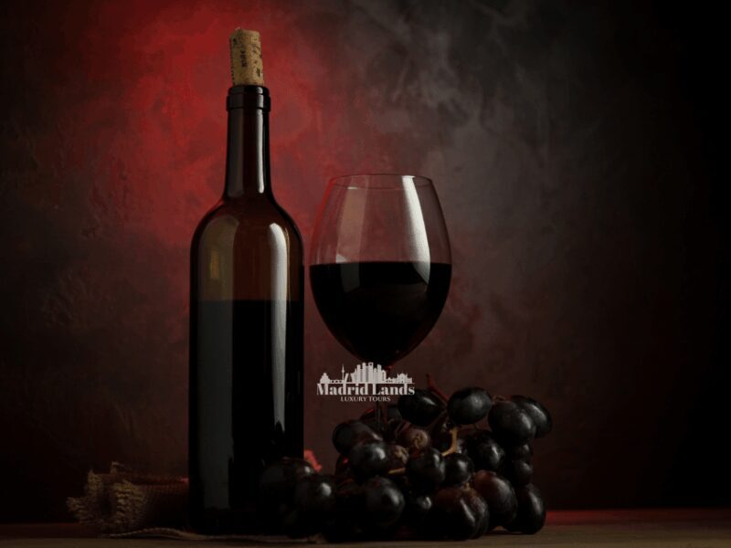 Madrid: Luxury Winner and Ribera del Duero Tour - A Closer Look at the Experience