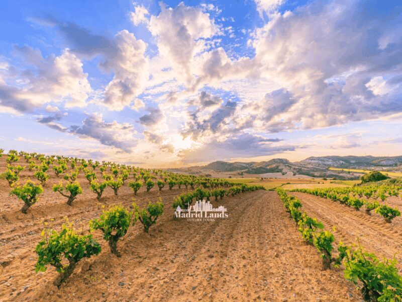 Madrid: Luxury Winner and Ribera del Duero Tour - Who Will Love This Tour?