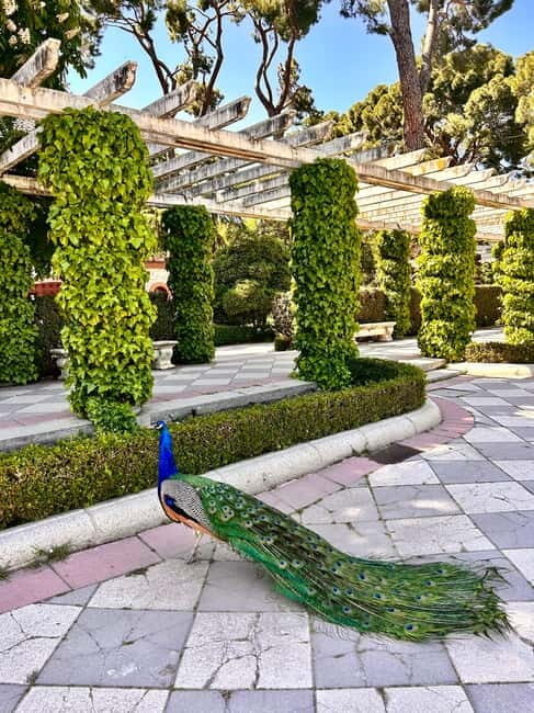 Madrid: Magic Retiro Park Bike Tour - Who Will Love This Tour?