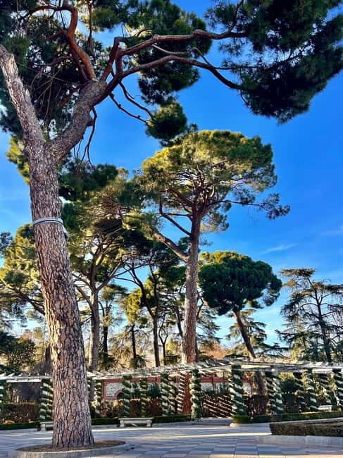 Madrid: Magic Retiro Park Bike Tour - Final Thoughts: The Value of a Smarter Ride