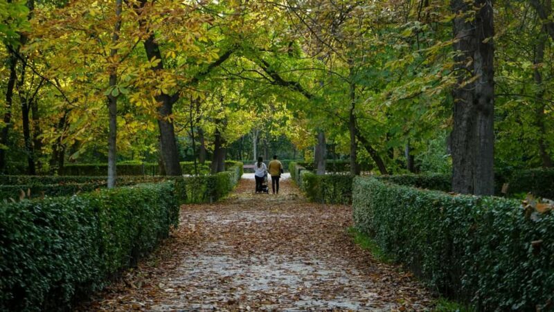 Madrid: Private Retiro Park Tour With Local Guide - Who Is This Tour Best For?