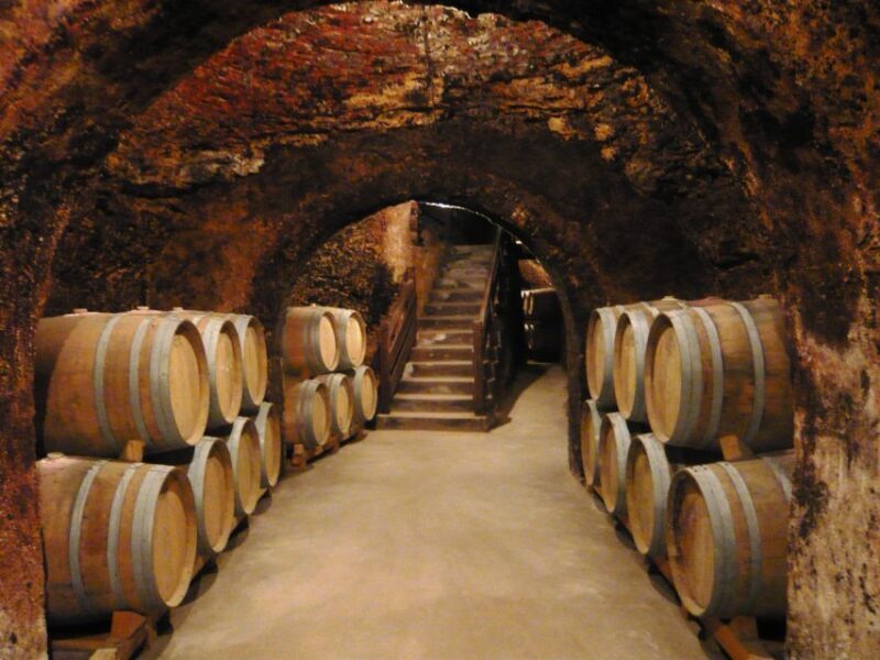 Madrid: Regional Madrid Wineries Guided Tour and Tastings - Key Points