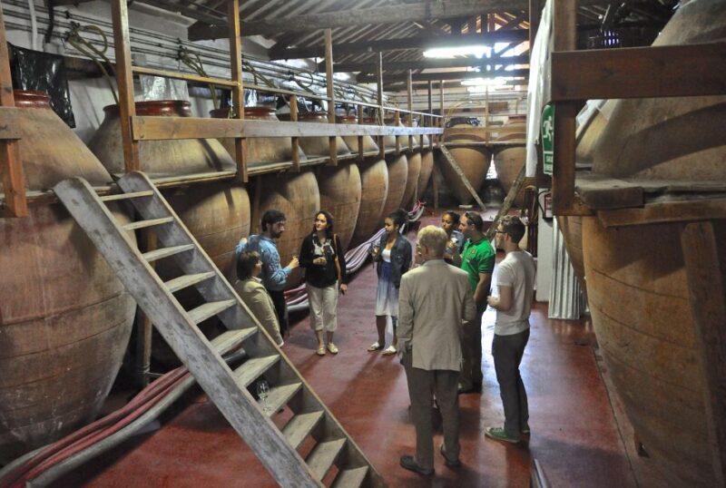 Madrid: Regional Madrid Wineries Guided Tour and Tastings - FAQ
