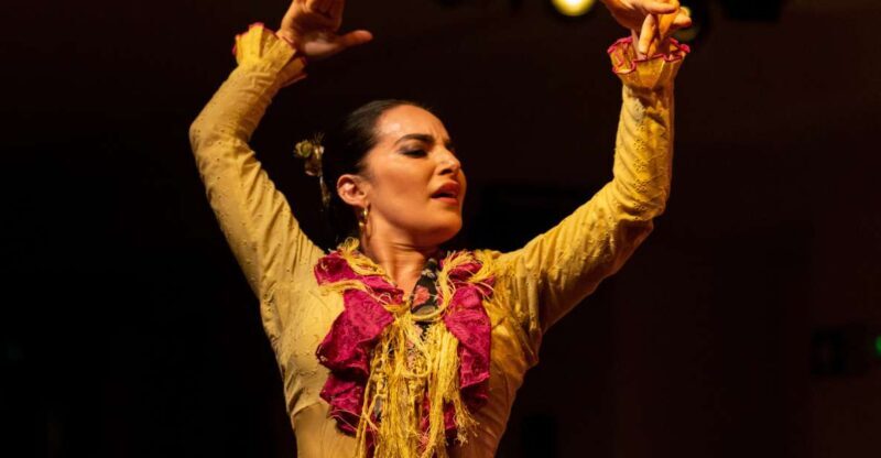 Madrid: Tablao de La Villa Flamenco Show - An In-Depth Look at the Flamenco Experience