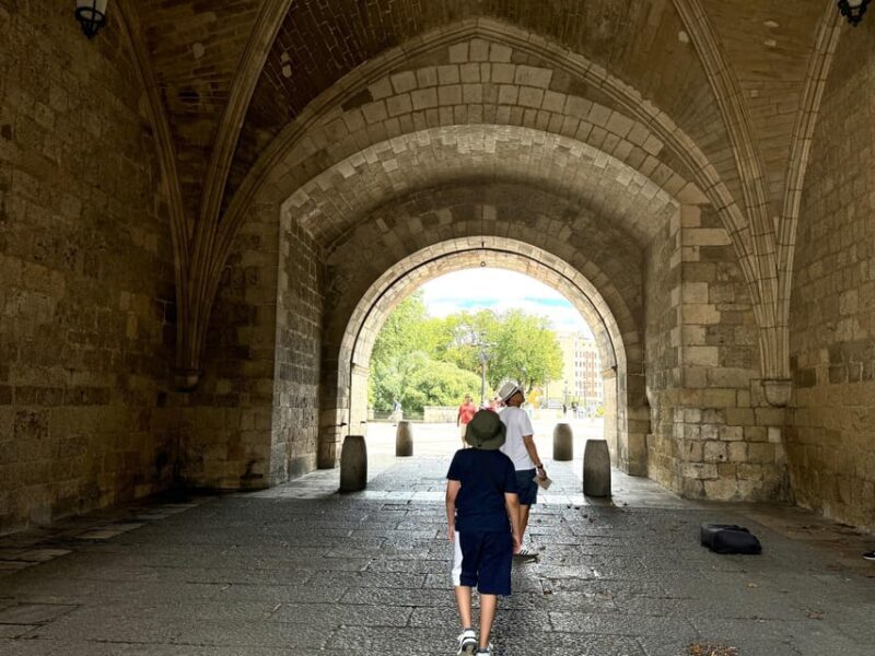 Madrid: Tour to Burgos, Vivar del Cid, Monastery of Cardeña, Cid Campeador - Transportation & Practicalities