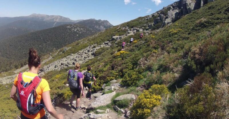Madrid: Trail Running Day Trip - The Guide and Customization: Running at Your Pace