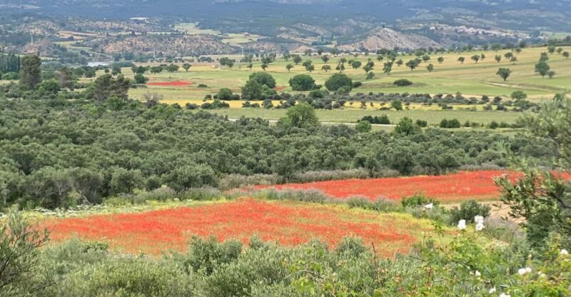 Madrid: Unspoiled Spain for Foodies & Nature s - Practical Details: Transportation, Group Size, and Cost