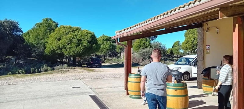 Madrid Wine Tour: Visit Two Wineries with Tastings - Why This Tour Is Worth Considering