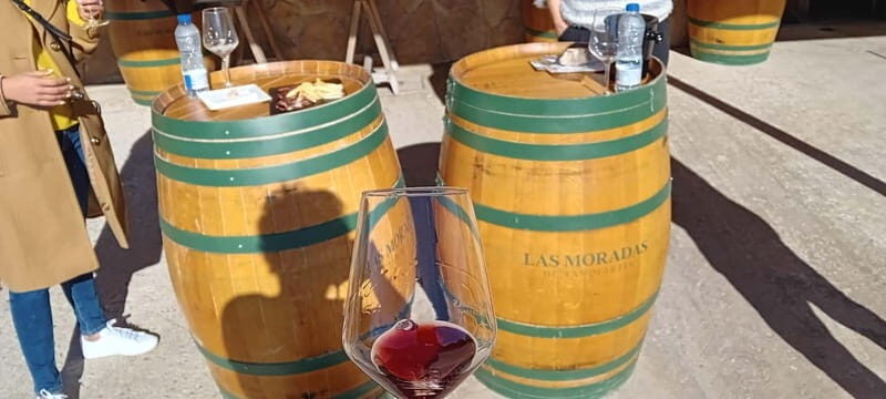 Madrid Wine Tour: Visit Two Wineries with Tastings - The Wines, Snacks, and Atmosphere