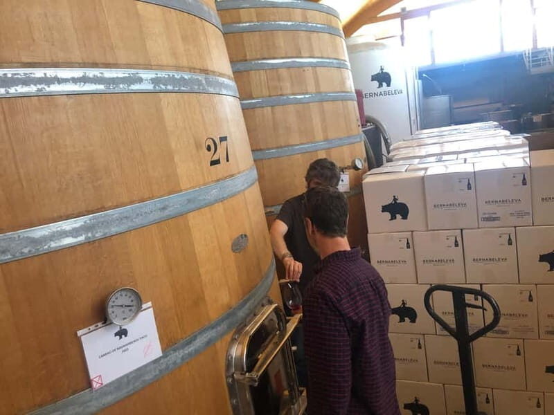 Madrid Wine Tour: Visit Two Wineries with Tastings - Who Will Love This Tour?
