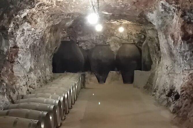 Madrid Winery Tour with Tasting & Sommelier Guide - Who Should Consider This Tour?