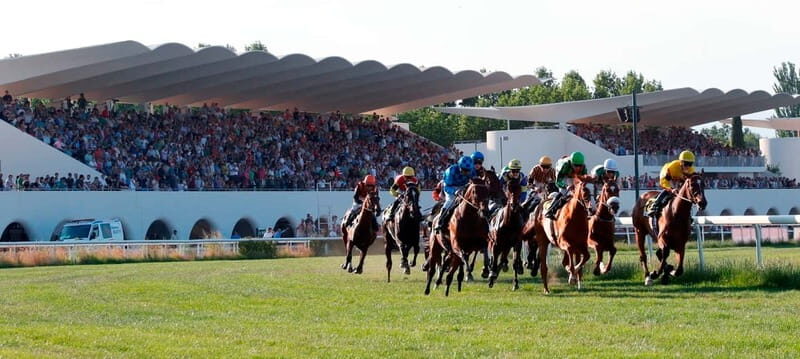Madrid: Zarzuela's Racecourse Guided Tour - Key Points