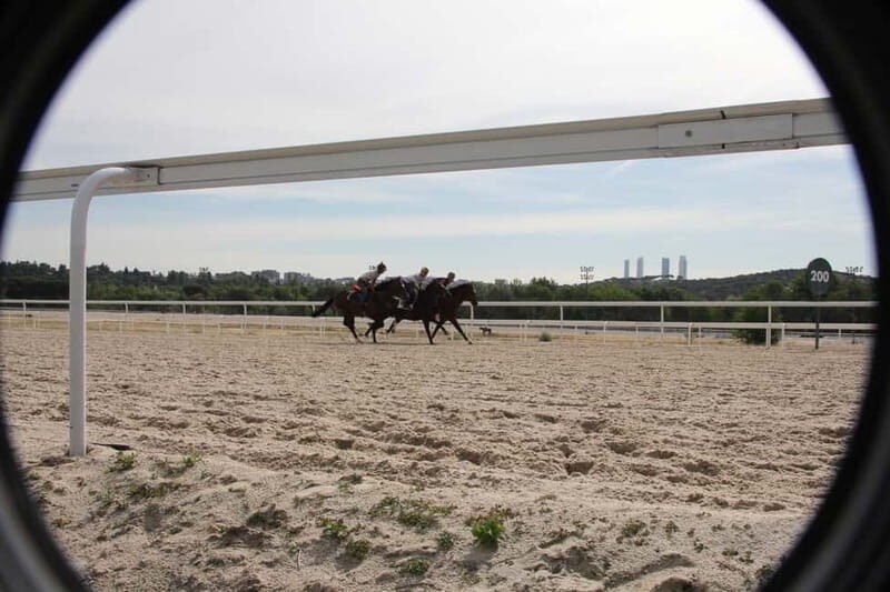 Madrid: Zarzuela's Racecourse Guided Tour - Reviews and Authentic Feedback