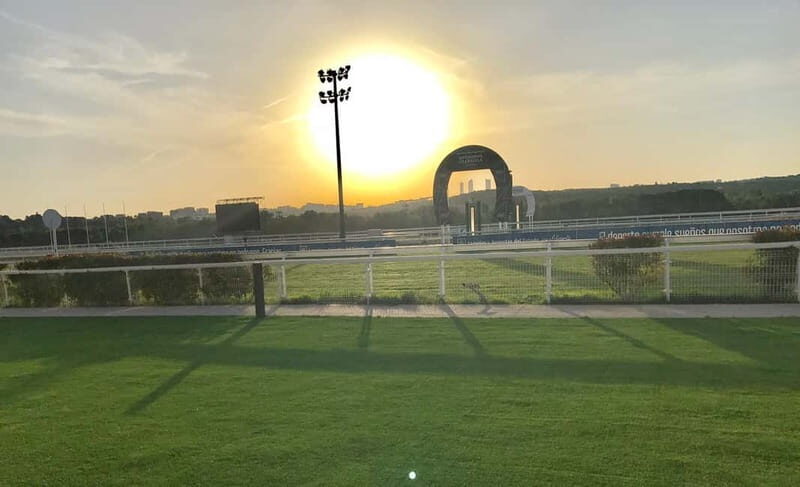 Madrid: Zarzuela's Racecourse Guided Tour - Who Should Consider This Tour?