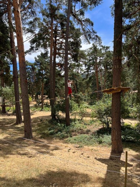 Madrid: Zip line circuits high in the trees - What to Expect
