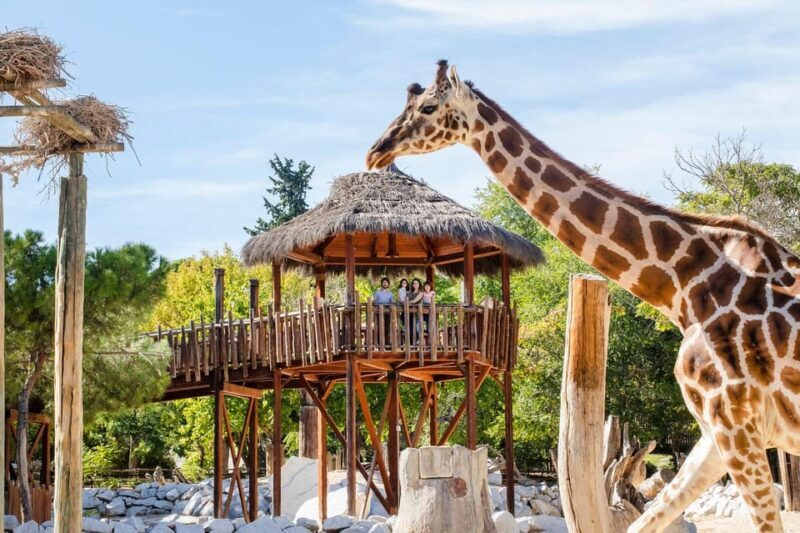 Madrid: Zoo Aquarium Madrid Ticket - An Overview of Madrid’s Zoo Aquarium