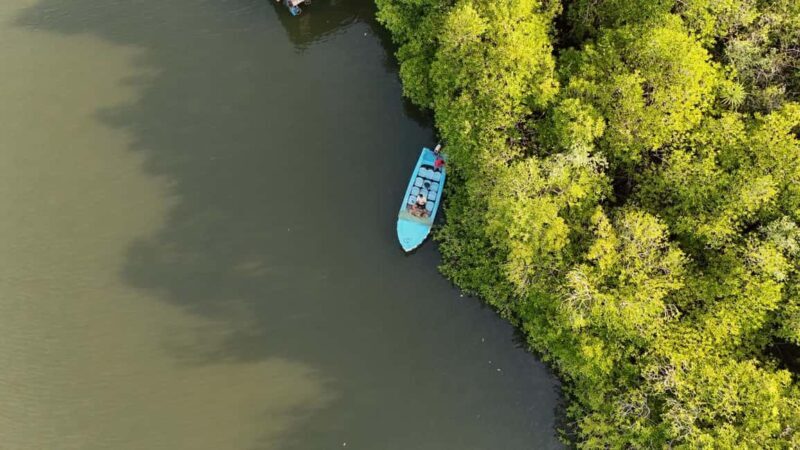 Madu River Boat Cruise & Cinnamon Garden All Inclusive Tour - An In-Depth Look at This Sri Lankan Day Trip