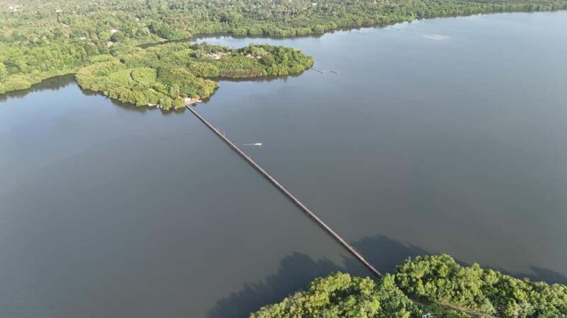 Madu River Boat Cruise & Cinnamon Garden All Inclusive Tour - Practical Details and Tips