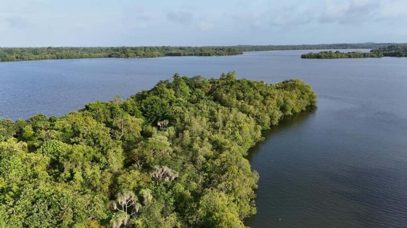 Madu River Boat Cruise & Cinnamon Garden All Inclusive Tour - Who Will Love This Tour?