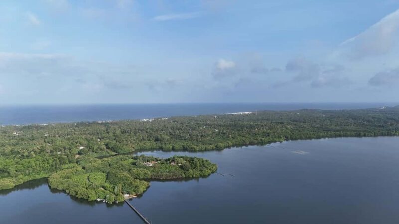 Madu River Boat Cruise & Cinnamon Garden All Inclusive Tour - Final Thoughts