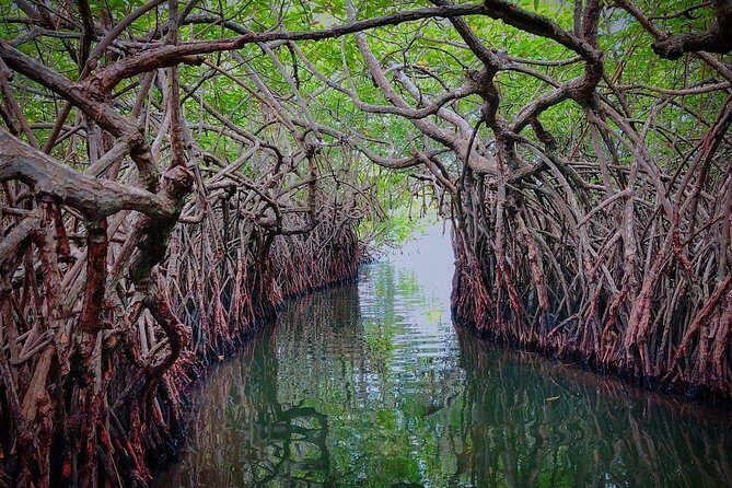 Madu River Boat Safari Balapitiya - Final Thoughts