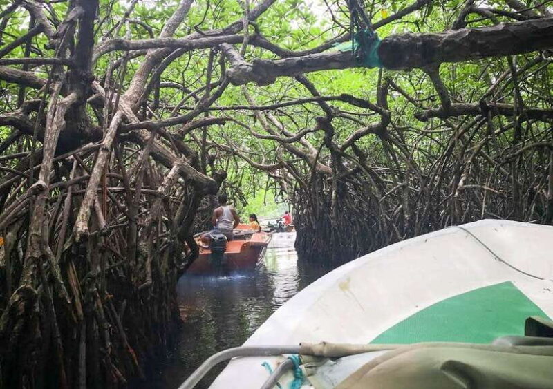 Madu River Boat Safari - Key Points
