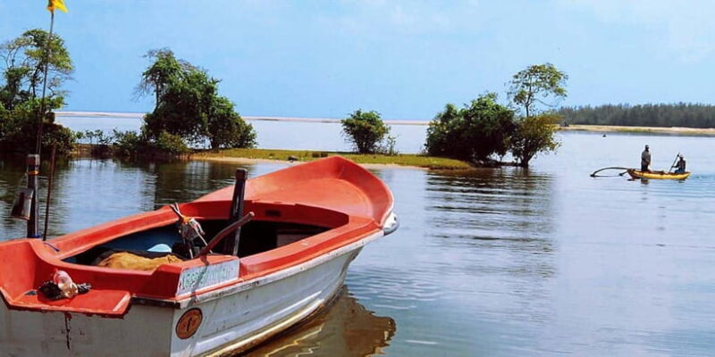 Madu River Boat Tour and Cinnamon Garden visit - The Itinerary in Detail
