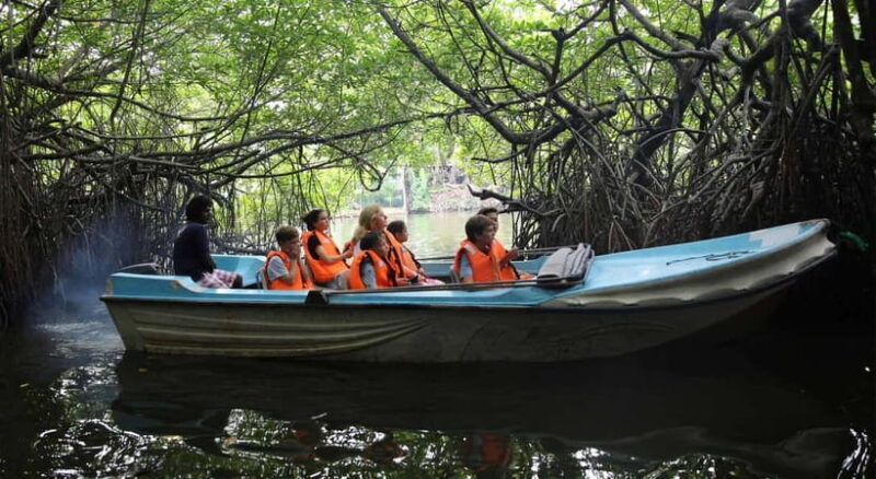 Madu River Boat Tour and Cinnamon Garden visit - Practical Tips for a Great Experience
