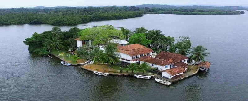 Madu River Boat Tour and Cinnamon Garden visit - Why You Should Consider This Tour