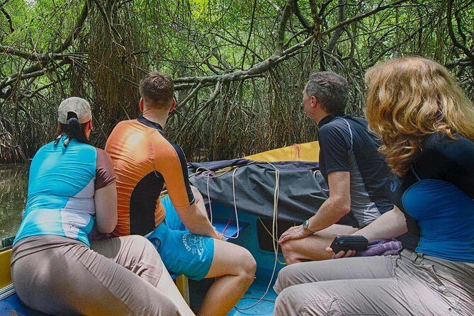 Madu River Safari at Balapitiya - What to Expect from the Tour: A Deep Dive into the Itinerary