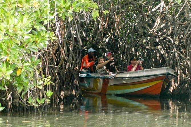 Madu River Safari at Balapitiya - Practical Details and Tips for Travelers