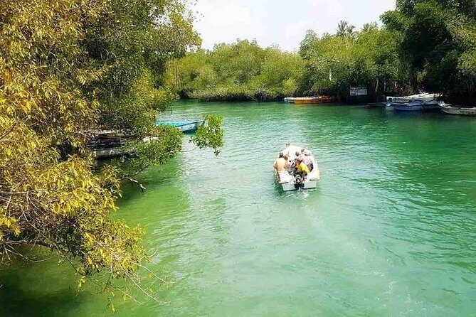 Madu River Safari at Balapitiya - The Sum Up: Is the Madu River Safari Worth It?