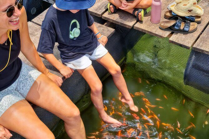 Madu River Safari from Hambantota - Who Will Love This Tour